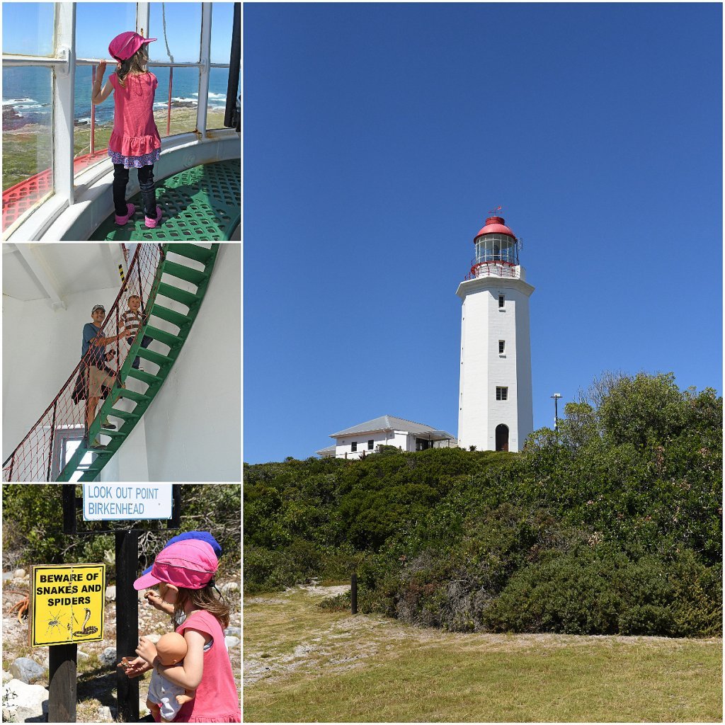 Things to do Around Hermanus with Kids - South Africa | Packed Again