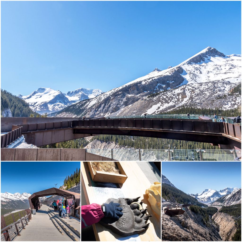 Icefields Parkway – Most scenic drive in Canada, (11 Must See Stops ...