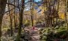 The BoBosco Trail - In The Beautiful Verzasca Valley | Packed Again