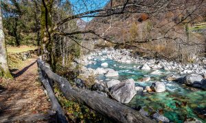 The BoBosco Trail - In The Beautiful Verzasca Valley | Packed Again