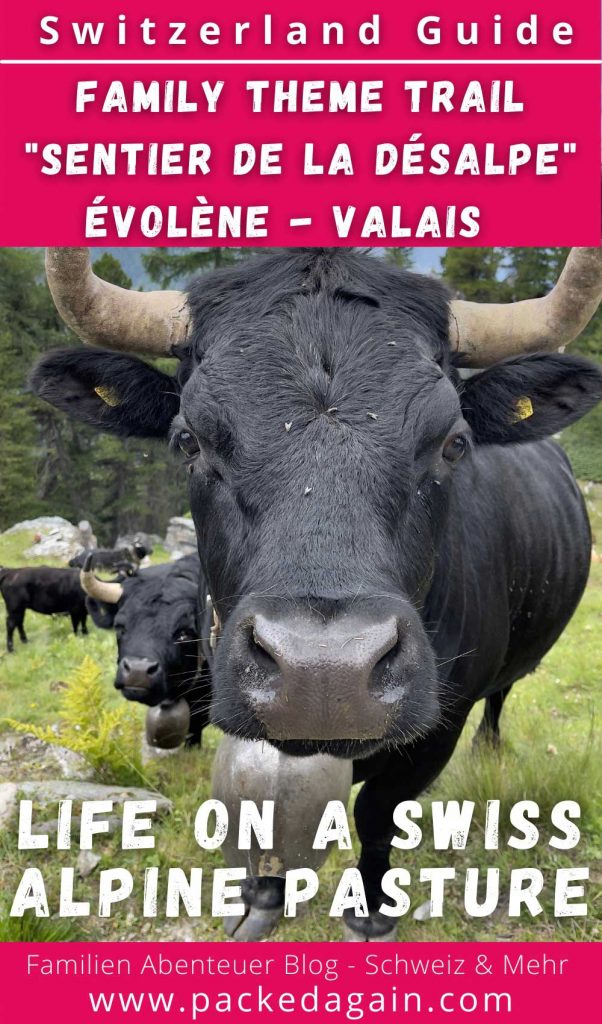 Theme Trail Evolène – Life on a Swiss Alpine Pasture in Valais | Packed ...