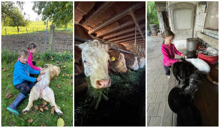 Glamping and Biking in Willisau - Lucerne | Packed Again
