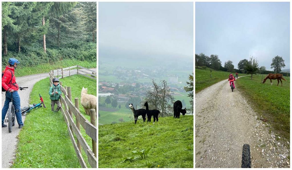 Glamping and Biking in Willisau - Lucerne | Packed Again