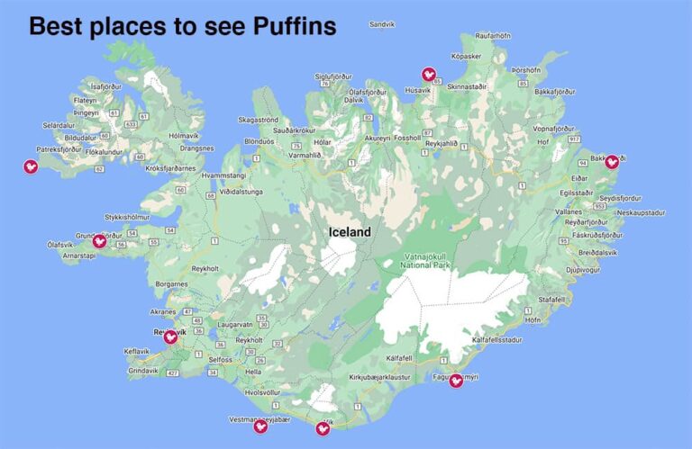 Where Best to See Puffins in Iceland - 2023 | Packed Again