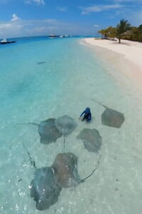 Discover Fulidhoo - One of the Best Local Maldivian Islands | Packed Again