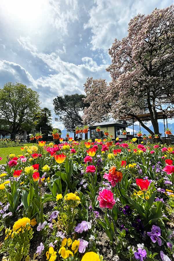 Spring in Switzerland - Where to See Blossoms in March, April & May