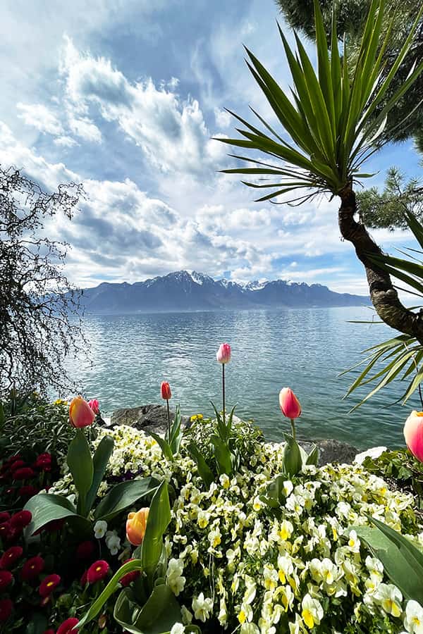 Spring in Switzerland - Where to See Blossoms in March, April & May