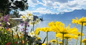 Spring in Switzerland - Where to See Blossoms in March, April & May